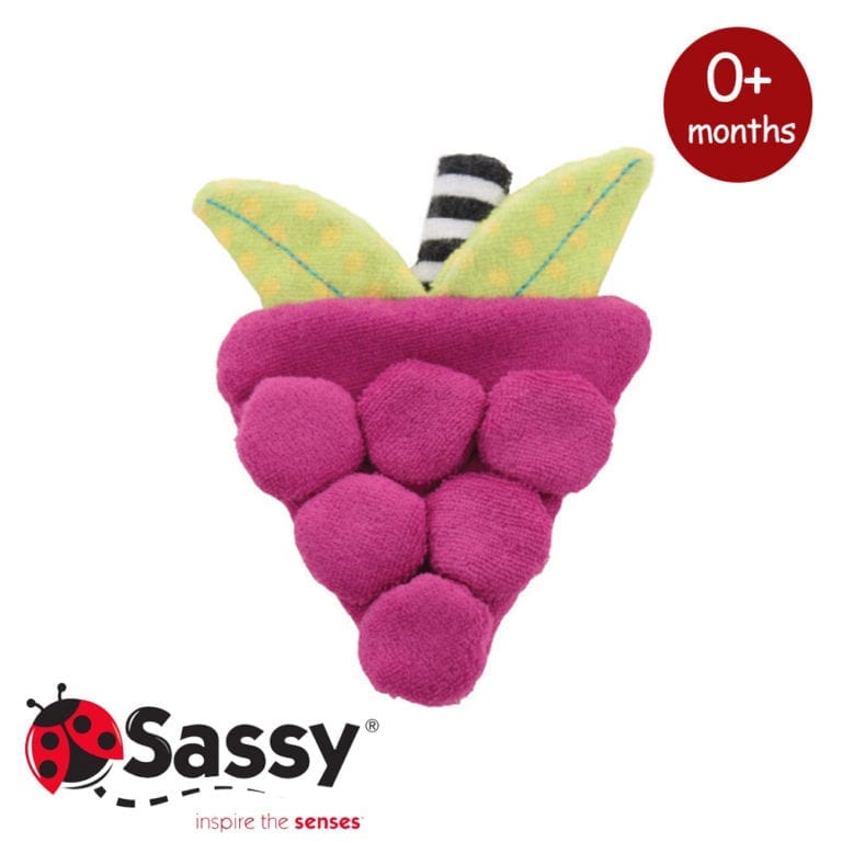 Buy Freezies Teether (Grape) Online | BabyNest